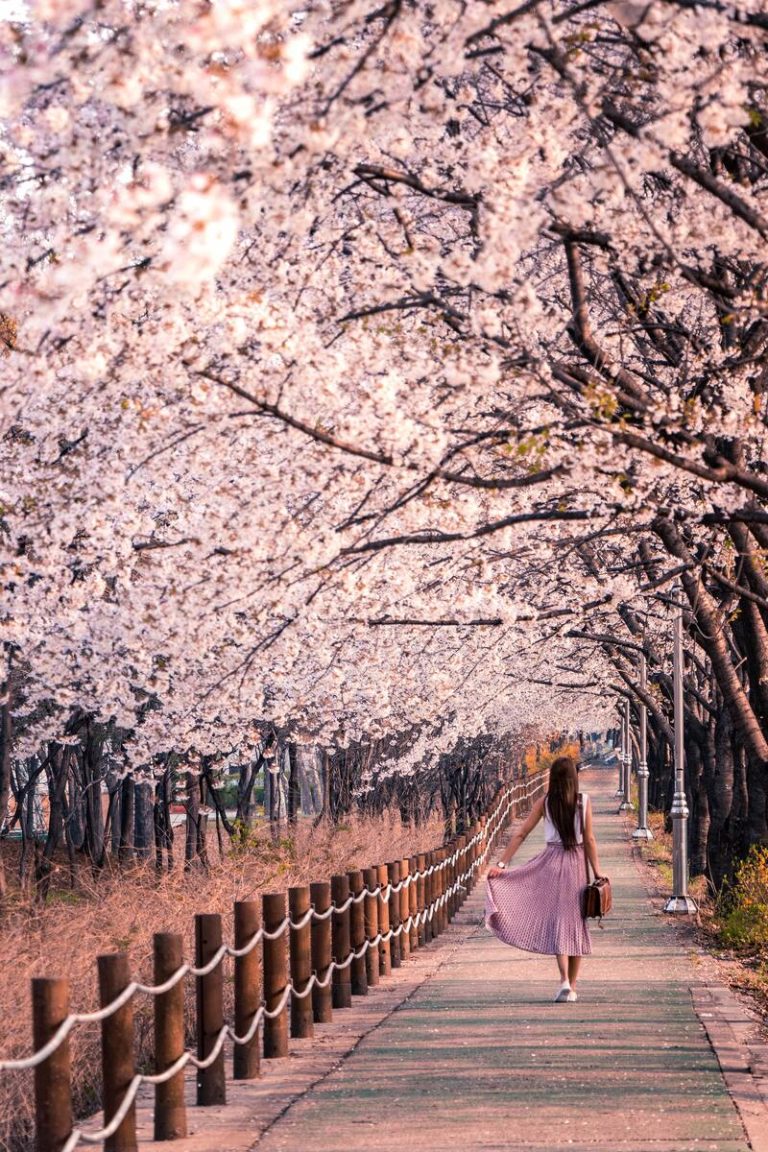 Spring Awakening: Discover the 15 Best Places to Travel in March